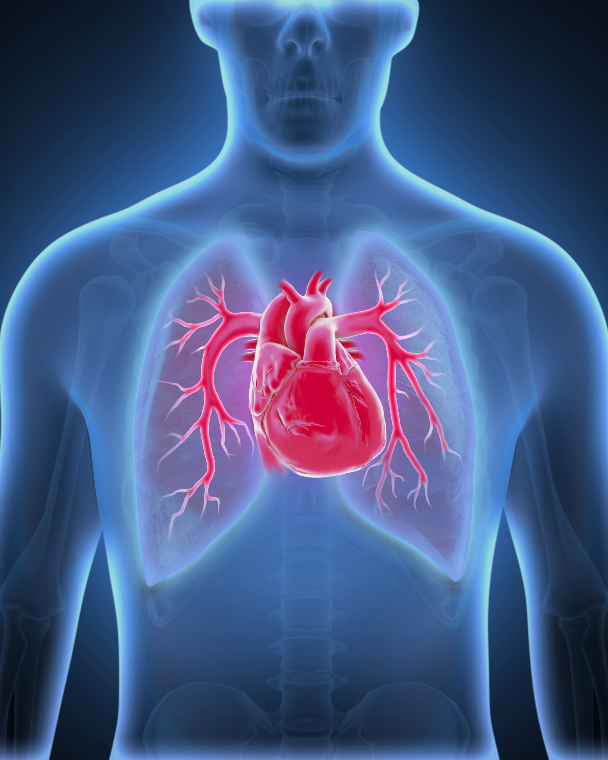 About Pulmonary Hypertension - PH Association